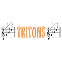 Tritons Instrumentos Musicais